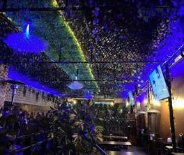 Bar el bosque – Manuel Montt 186